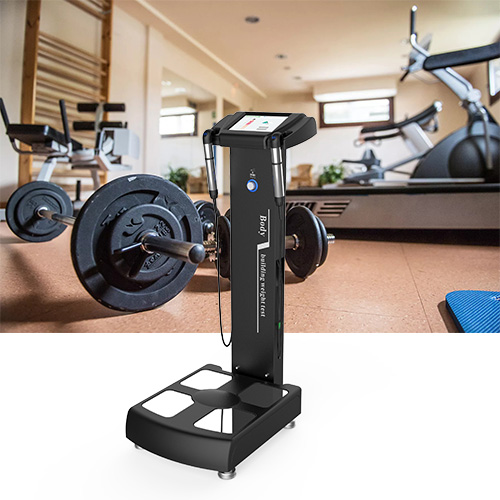 Best Body Analysis Scale For Gym Use Best Body Analysis Scale For Gym Use
